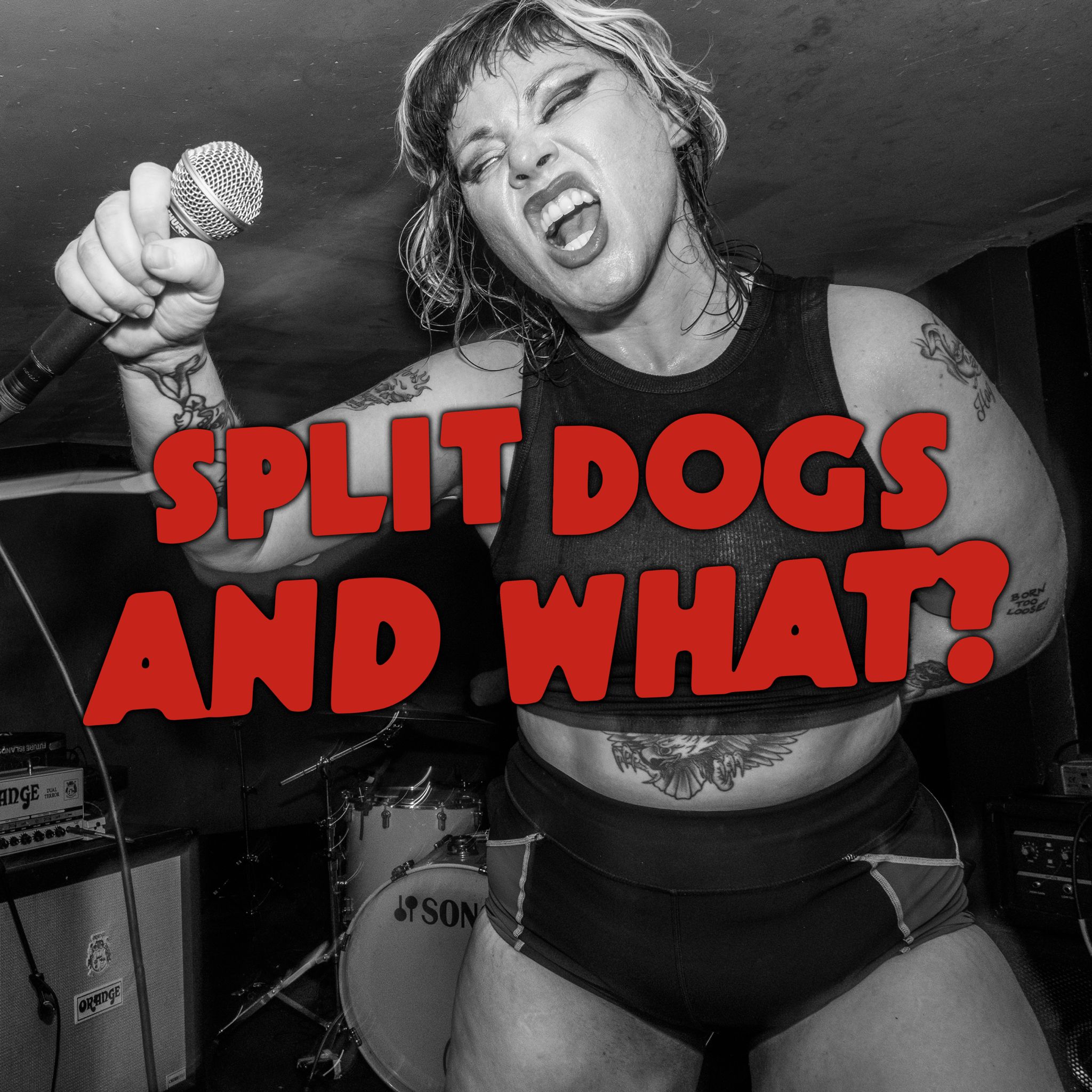 Split Dogs Ask "And What?" On New Single & Video - ThePunkSite.com