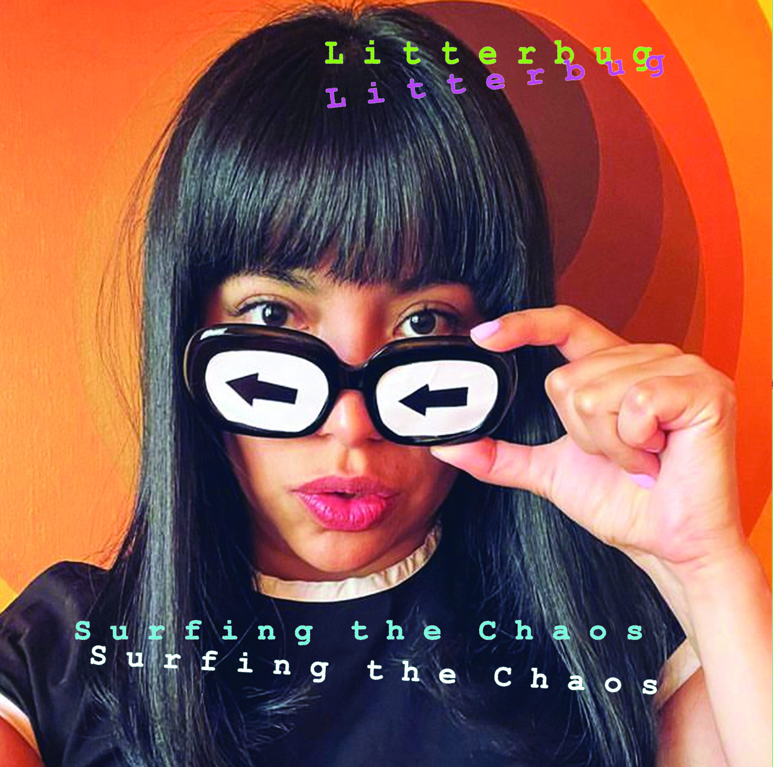 Litterbug - Surfing The Chaos - ThePunkSite.com