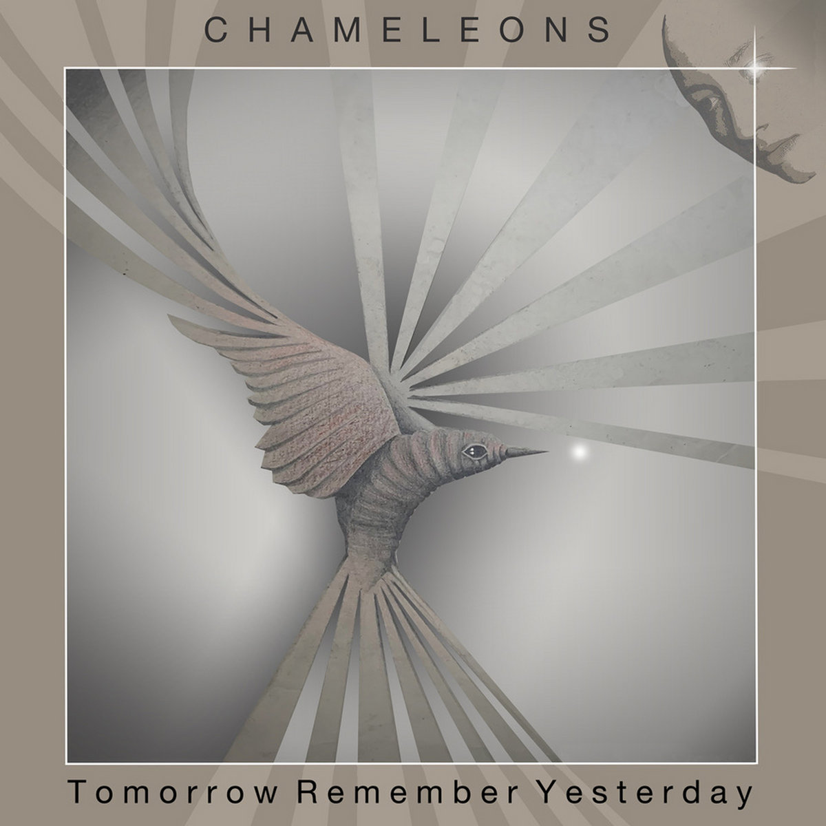 The Chameleons Unveil "Tomorrow Remember Yesterday" EP - ThePunkSite.com