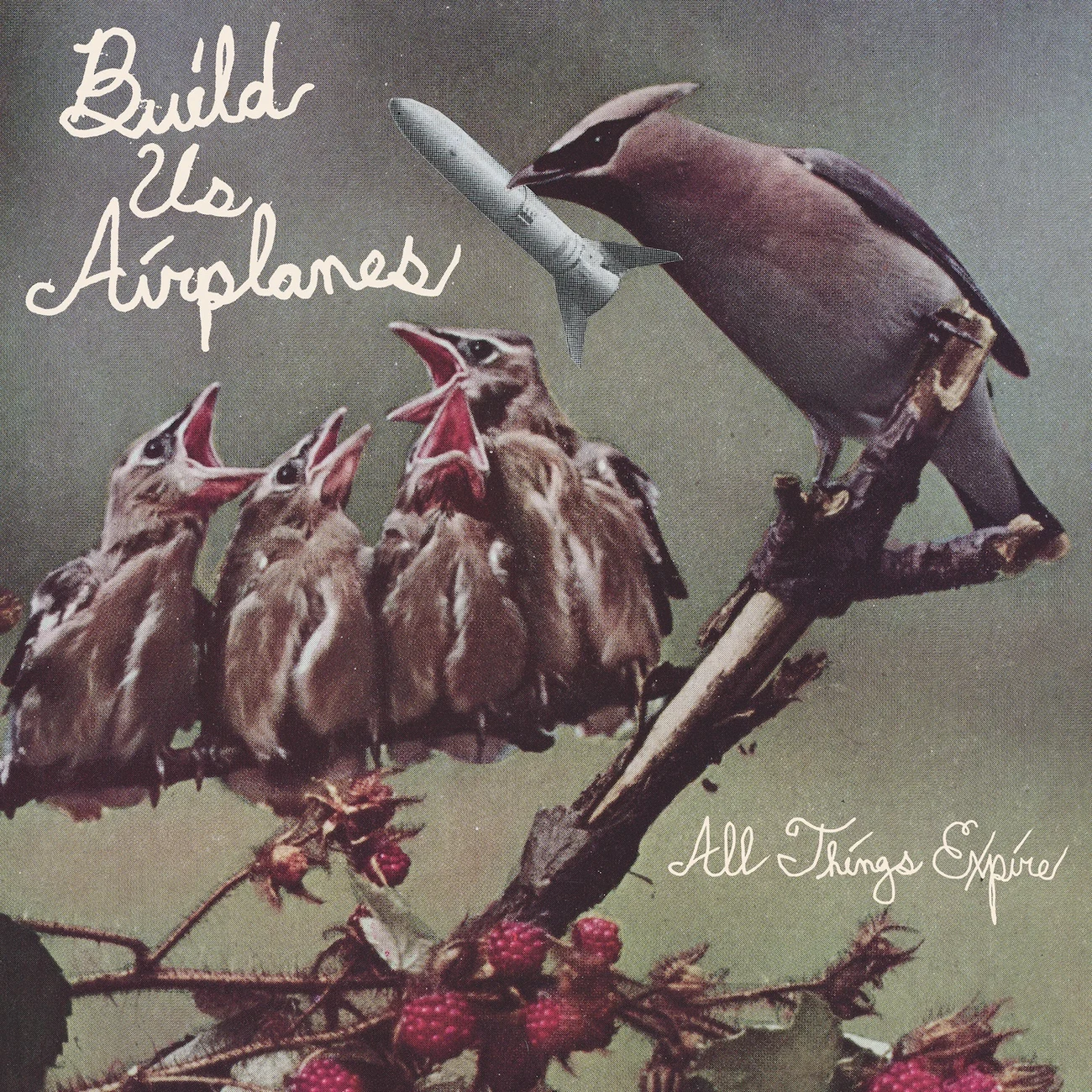 Build Us Airplanes Announce "All Things Expire" Album & Share Lead ...